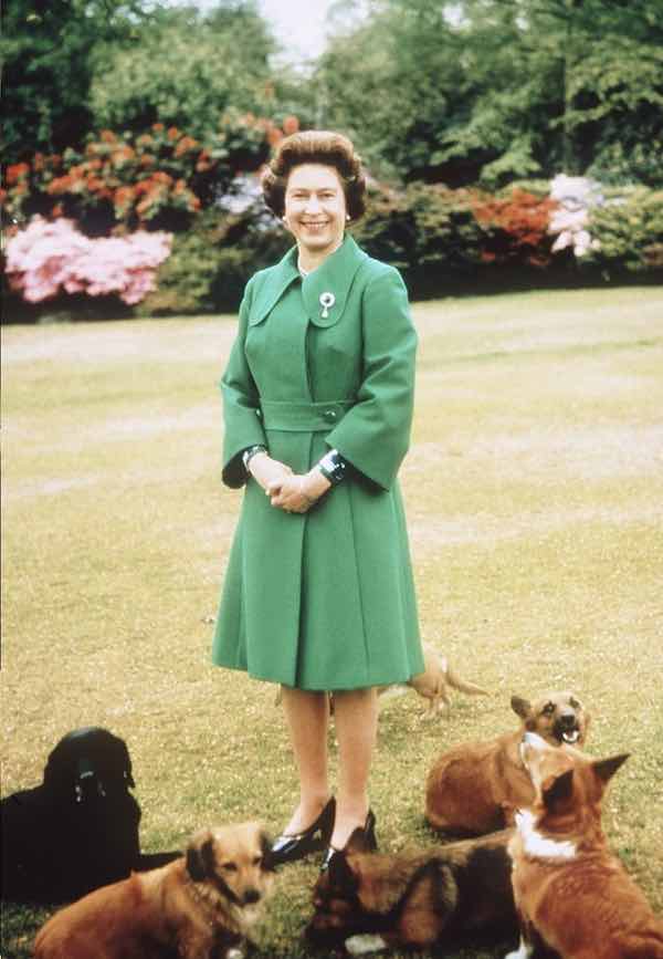 La reine et ses corgis - Retour sur l'amour de la reine Elizabeth II ...