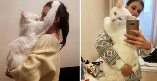 Un énorme chaton en peluche grandit en serrant son humain dans ses bras ...