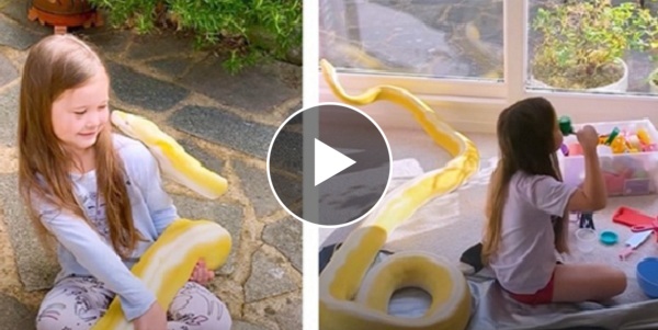 Un python de 5 mètres est si gentil avec son amie préférée. - MonChiwawa